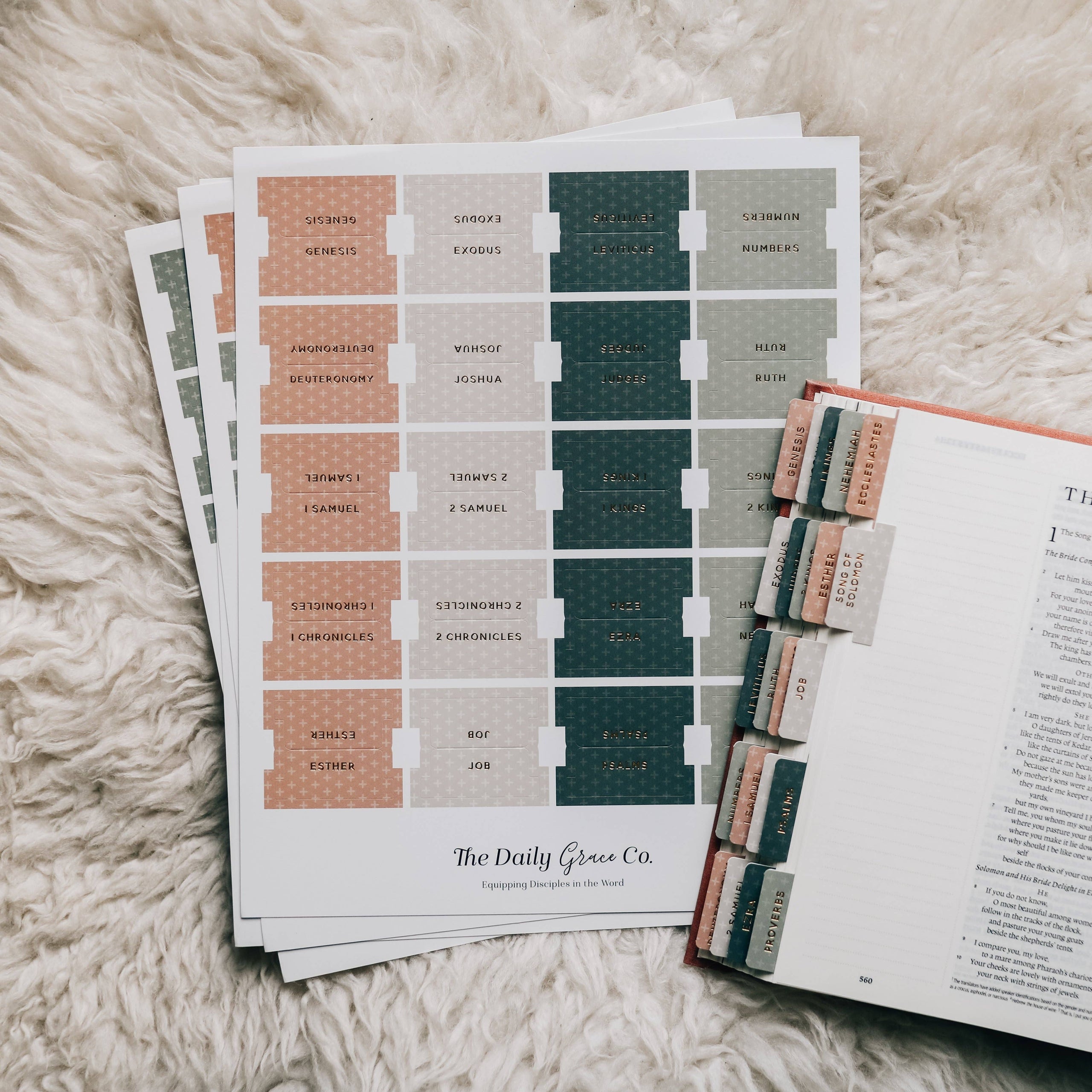 Crosses Bible Tabs | Farm Charm